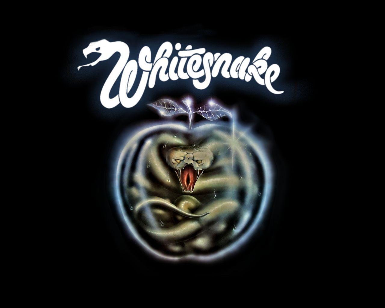 White Snake Wallpapers - Top Free White Snake Backgrounds - WallpaperAccess