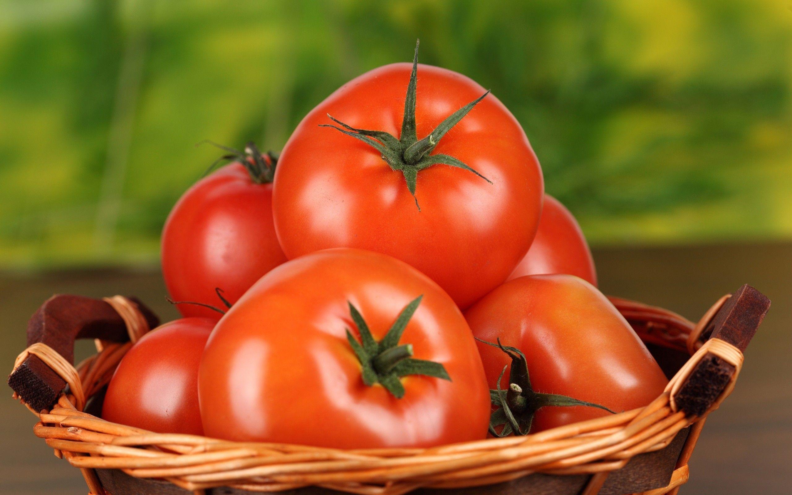 Tomatoes Wallpapers - Top Free Tomatoes Backgrounds - WallpaperAccess