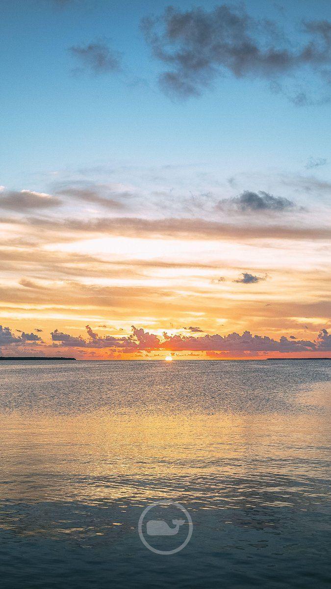 Vineyard Vines Wallpapers - Top Free Vineyard Vines Backgrounds ...