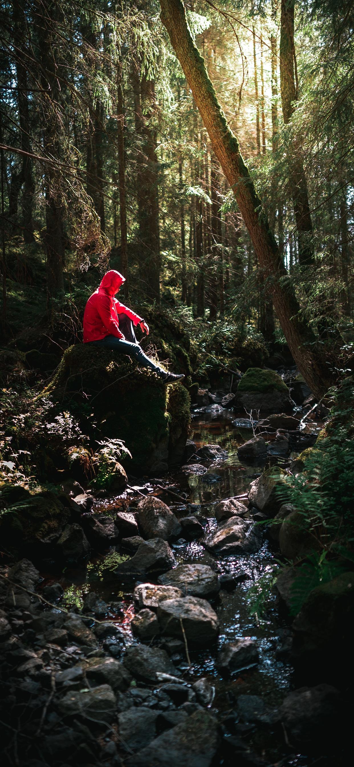 Hidden Wallpapers - Top Free Hidden Backgrounds - WallpaperAccess