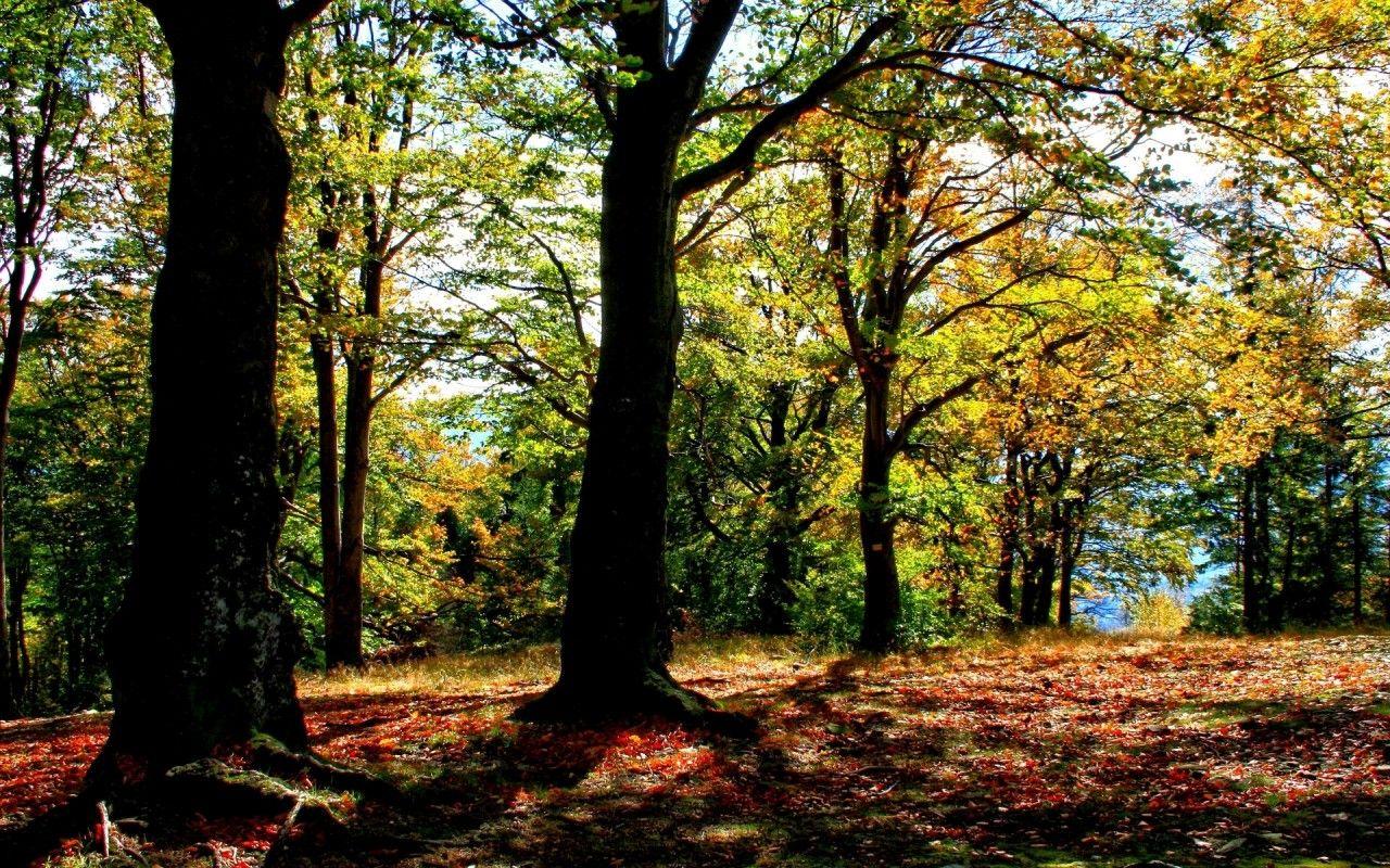 Hidden Wallpapers - Top Free Hidden Backgrounds - WallpaperAccess