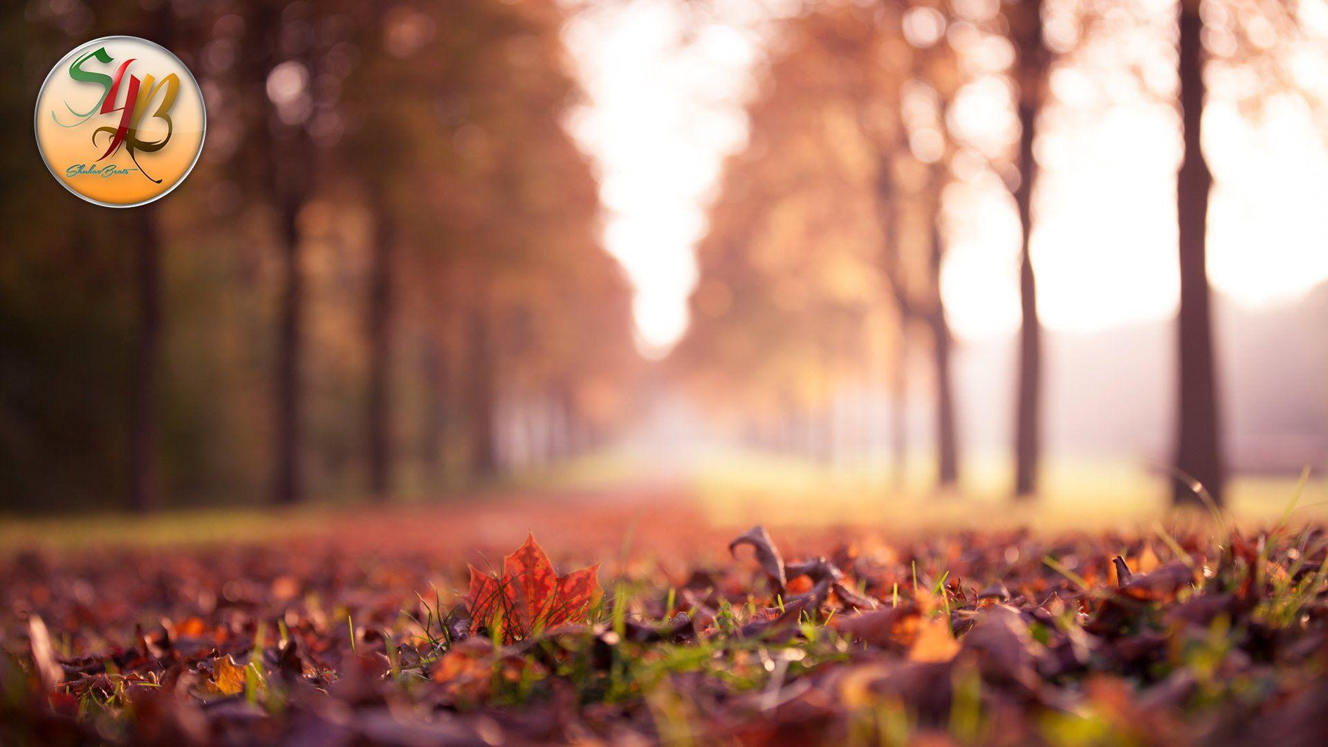 Hipster Autumn Wallpapers - Top Free Hipster Autumn Backgrounds ...
