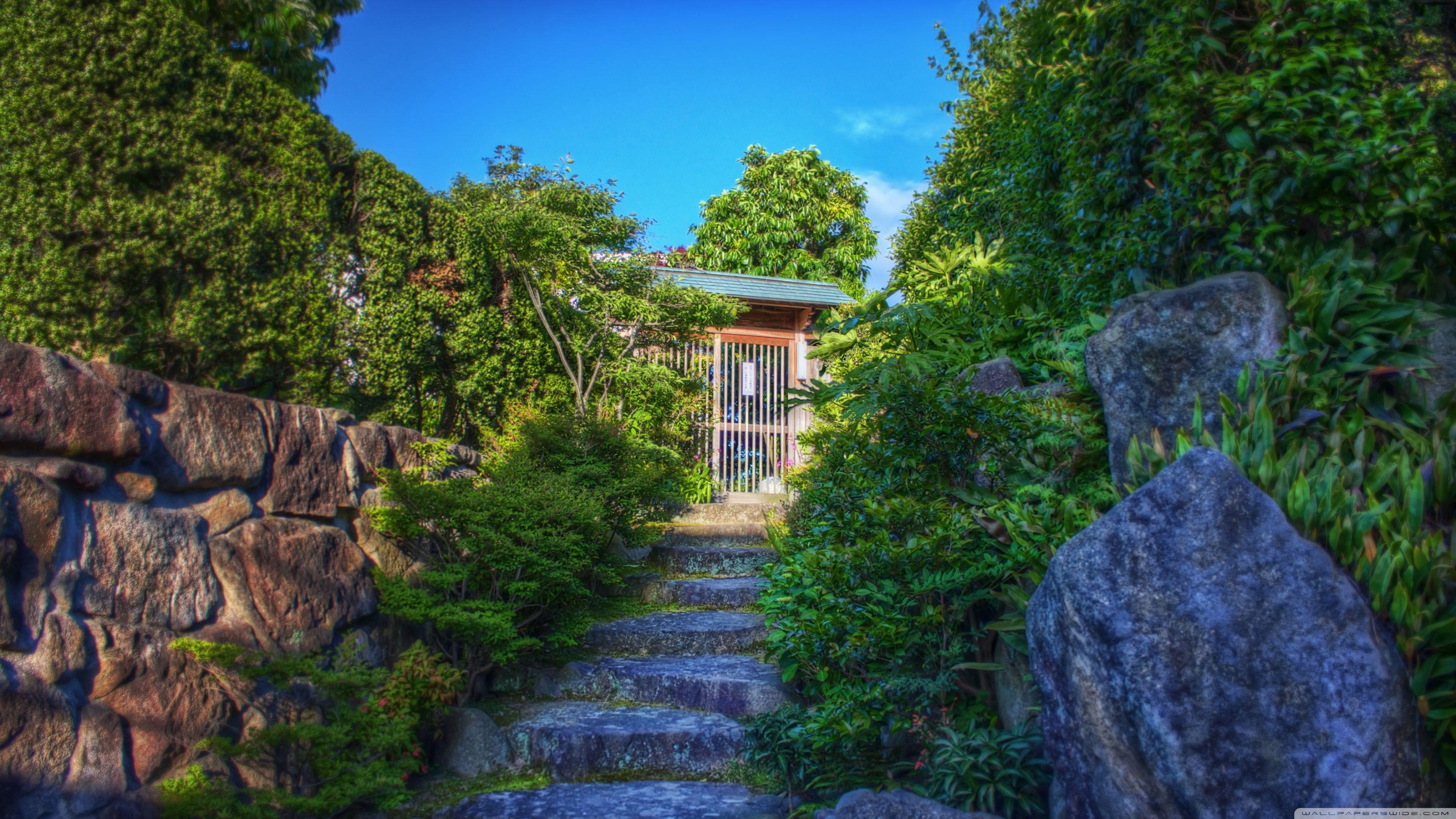 Hidden Wallpapers - Top Free Hidden Backgrounds - WallpaperAccess