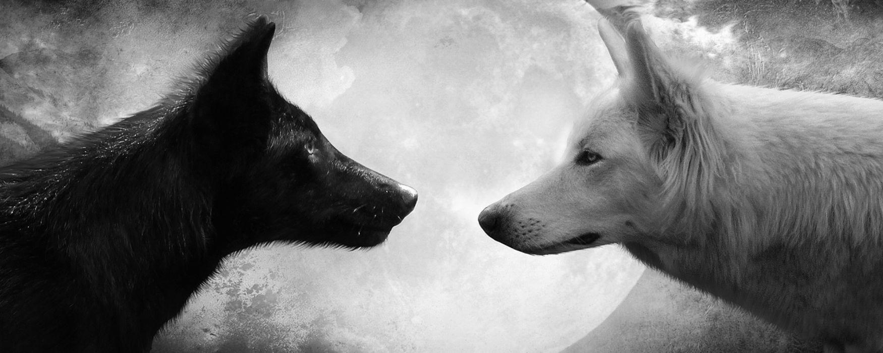 Animal Dual Monitor Wallpapers - Top Free Animal Dual Monitor ...