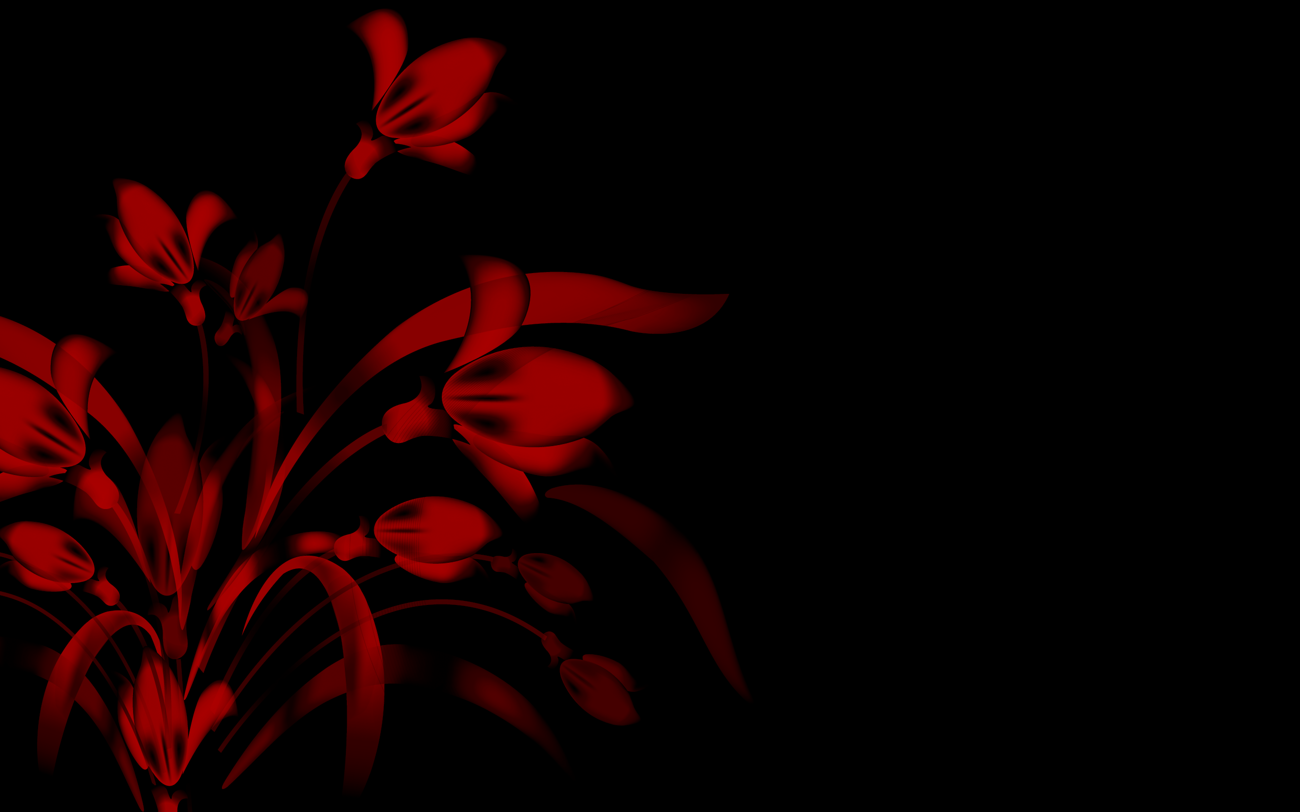 Blood Rose Wallpapers - Top Free Blood Rose Backgrounds - WallpaperAccess