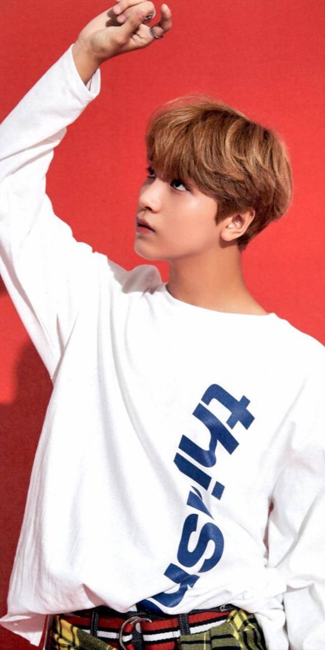 Haechan NCT Wallpapers - Top Free Haechan NCT Backgrounds - WallpaperAccess