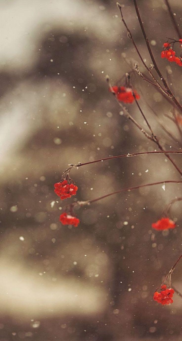 Hello January Wallpapers - Top Free Hello January Backgrounds ...