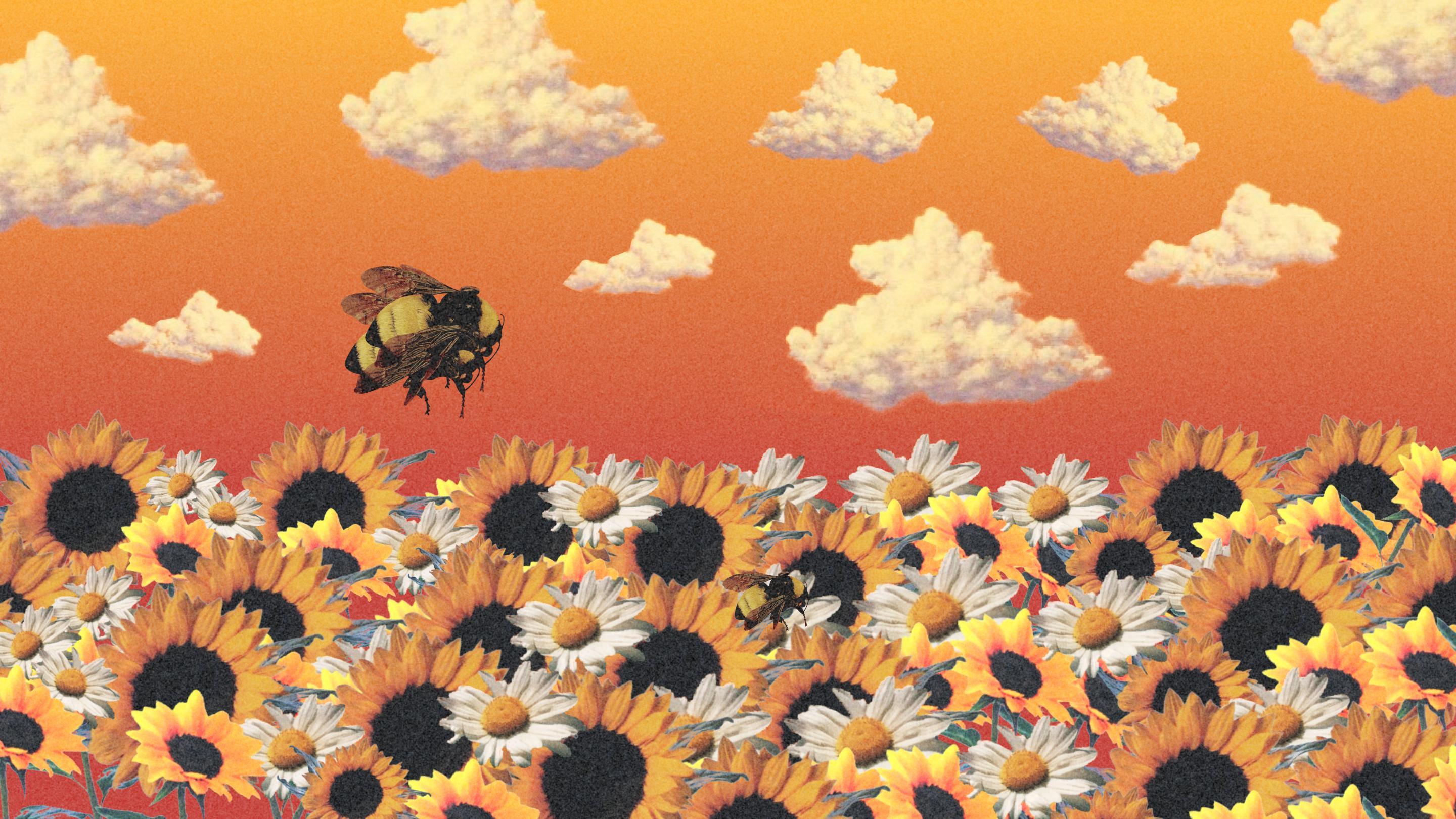 Tyler, The Creator, Igor Wallpapers - Top Free Tyler, The Creator, Igor ...