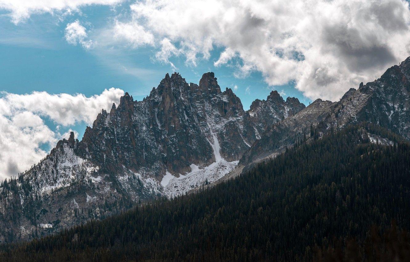 Mountain Forest 4K Wallpapers - Top Free Mountain Forest 4K Backgrounds ...