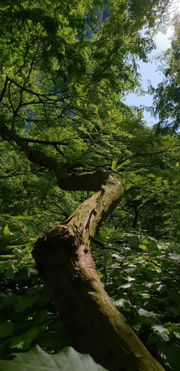 Nature Chill Wallpapers - Top Free Nature Chill Backgrounds ...