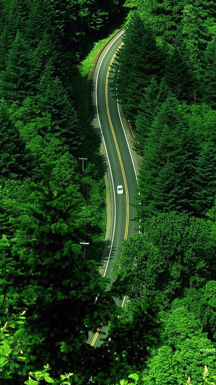 Tumblr Green Wallpapers - Top Free Tumblr Green Backgrounds ...