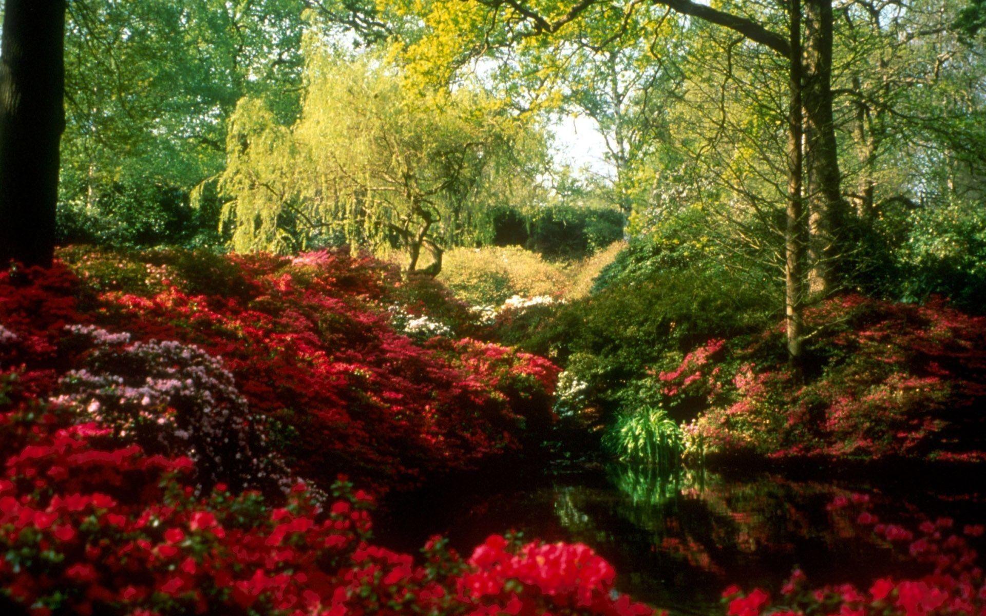 Spring Scenery Wallpapers - Top Free Spring Scenery Backgrounds ...