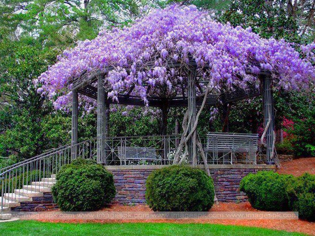 Spring Scenery HD Desktop Wallpapers - Top Free Spring Scenery HD ...