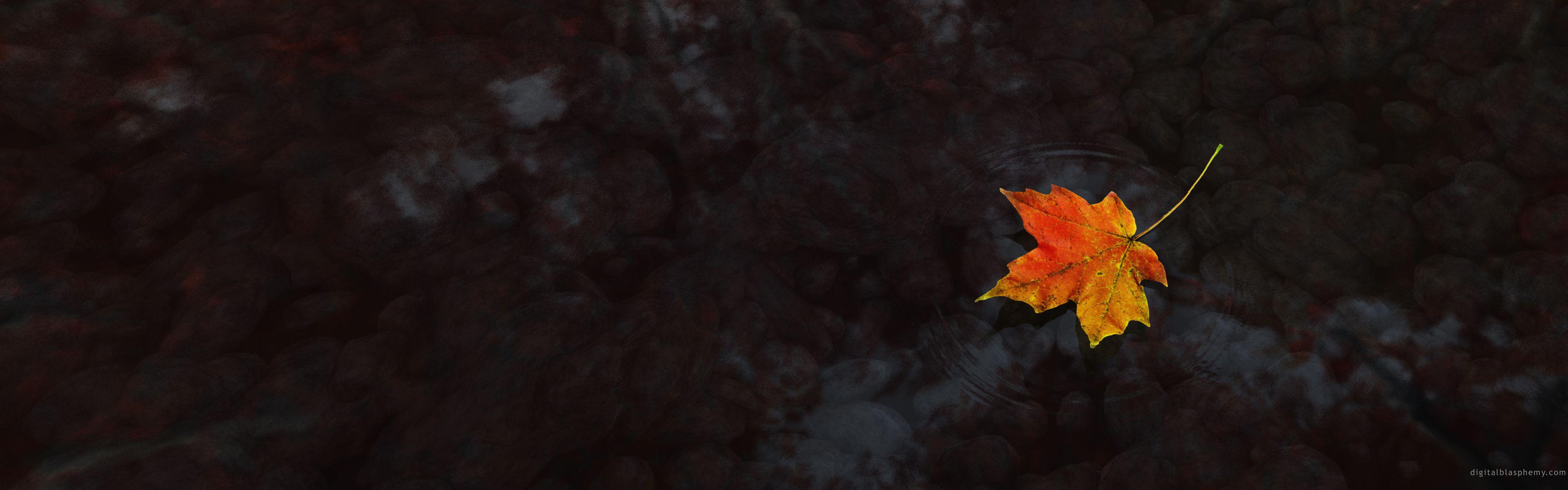 Dark Autumn Wallpapers Top Free Dark Autumn Backgrounds Wallpaperaccess