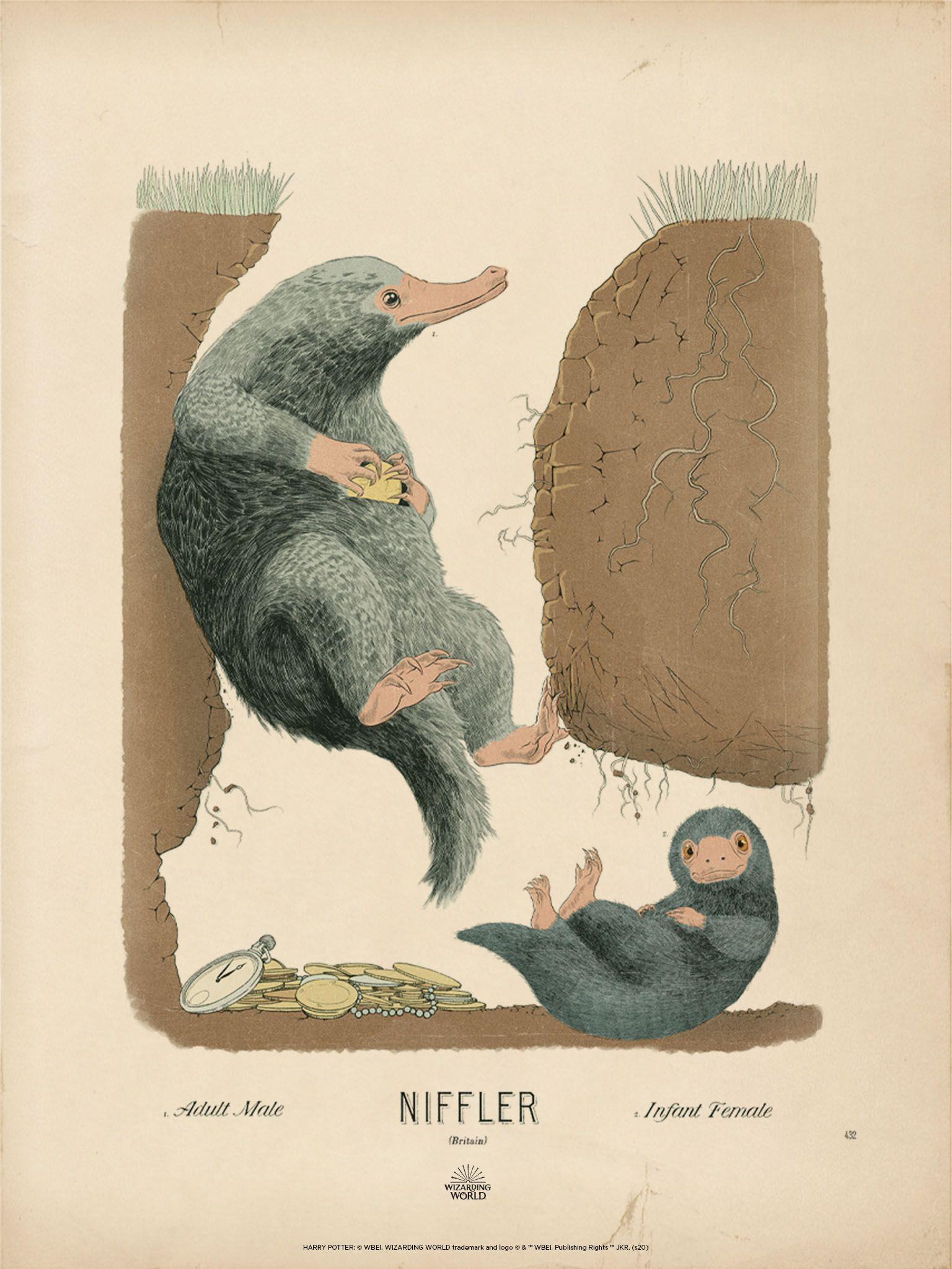 Niffler Wallpapers - Top Free Niffler Backgrounds - WallpaperAccess