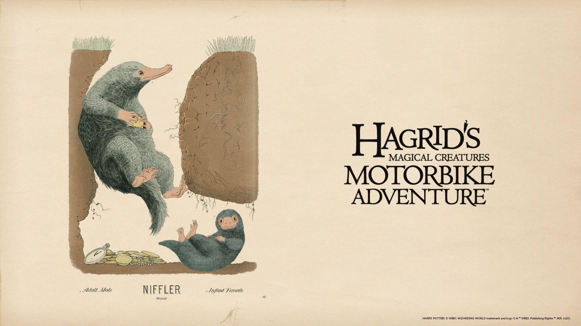 Niffler Wallpapers - Top Free Niffler Backgrounds - WallpaperAccess