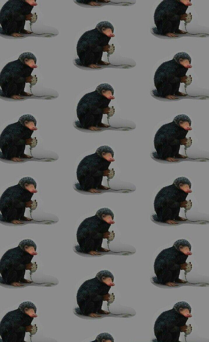 Niffler Wallpapers - Top Free Niffler Backgrounds - WallpaperAccess