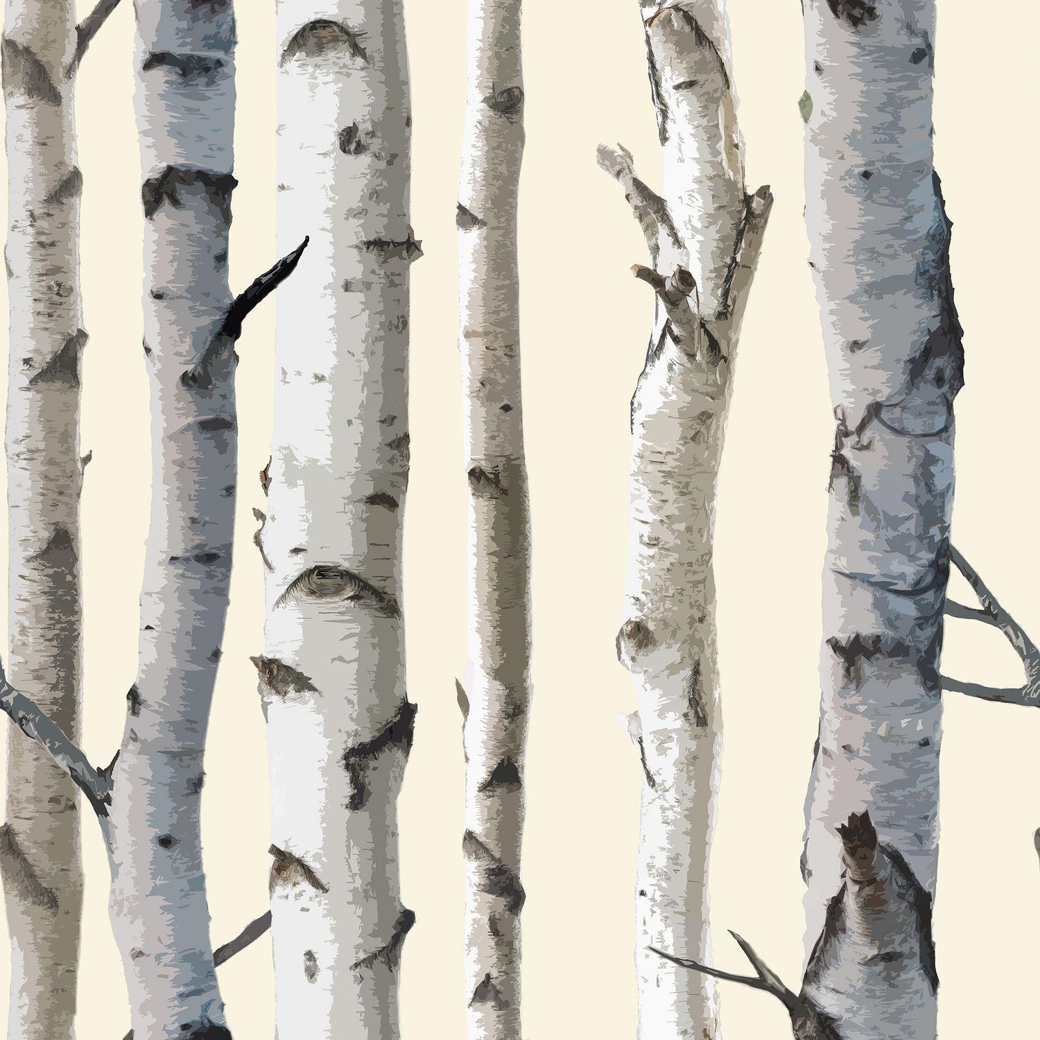 Birch Wallpapers - Top Free Birch Backgrounds - WallpaperAccess