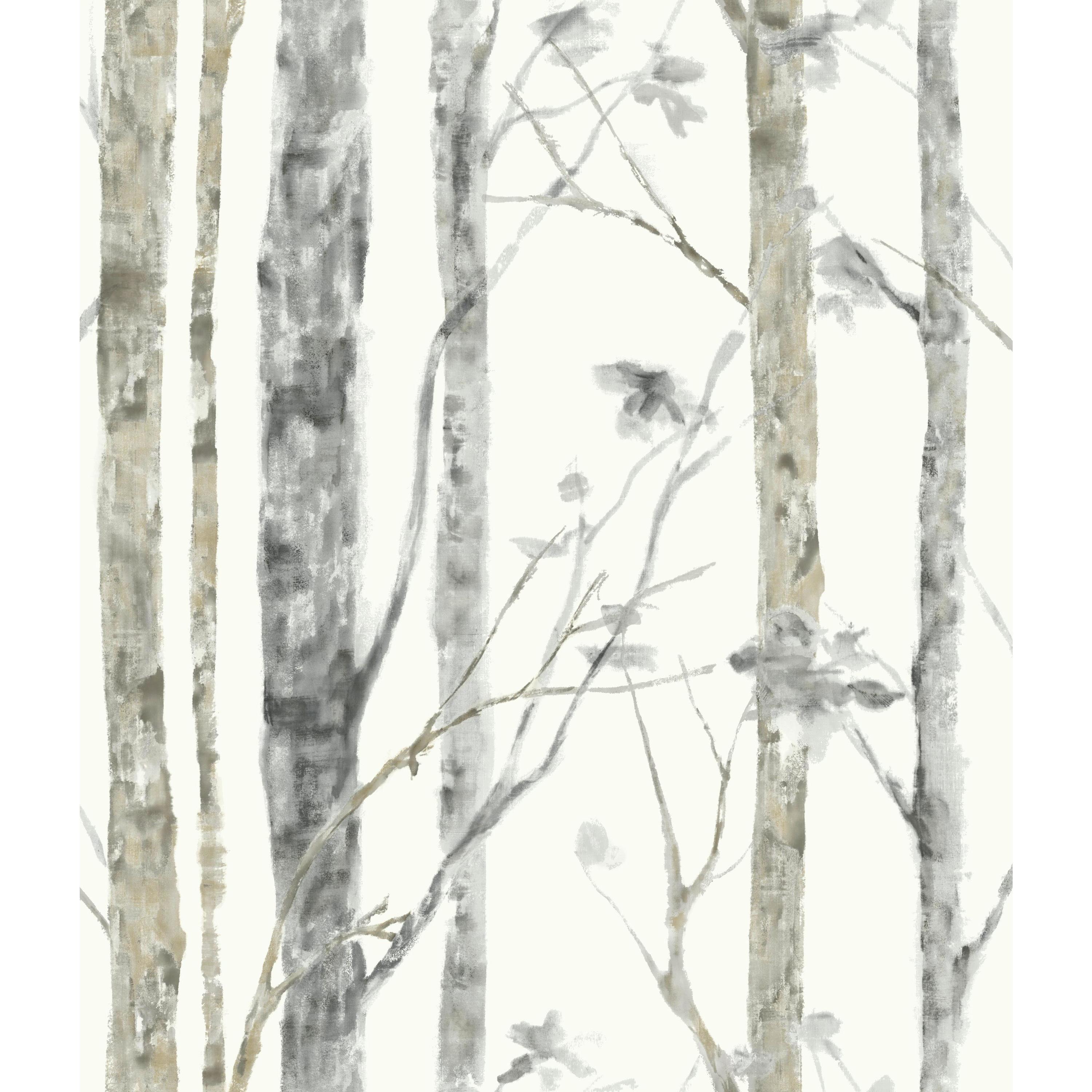 Birch Wallpapers - Top Free Birch Backgrounds - WallpaperAccess