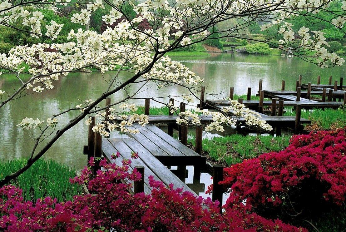 Japanese Bridge Wallpapers - Top Free Japanese Bridge Backgrounds ...