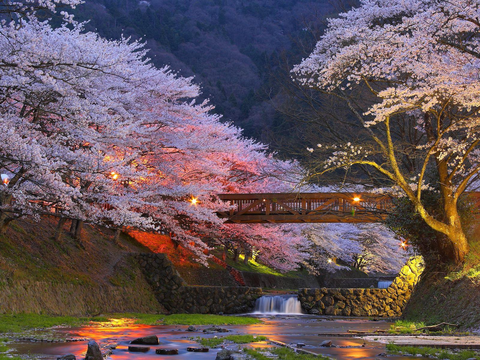 Japanese Bridge Wallpapers - Top Free Japanese Bridge Backgrounds ...