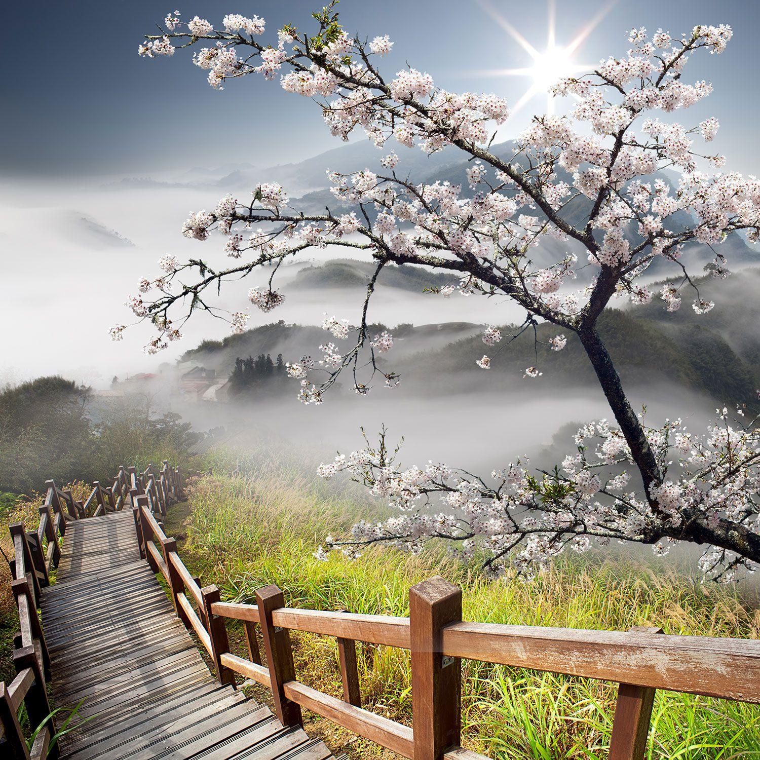 Japanese Bridge Wallpapers - Top Free Japanese Bridge Backgrounds ...