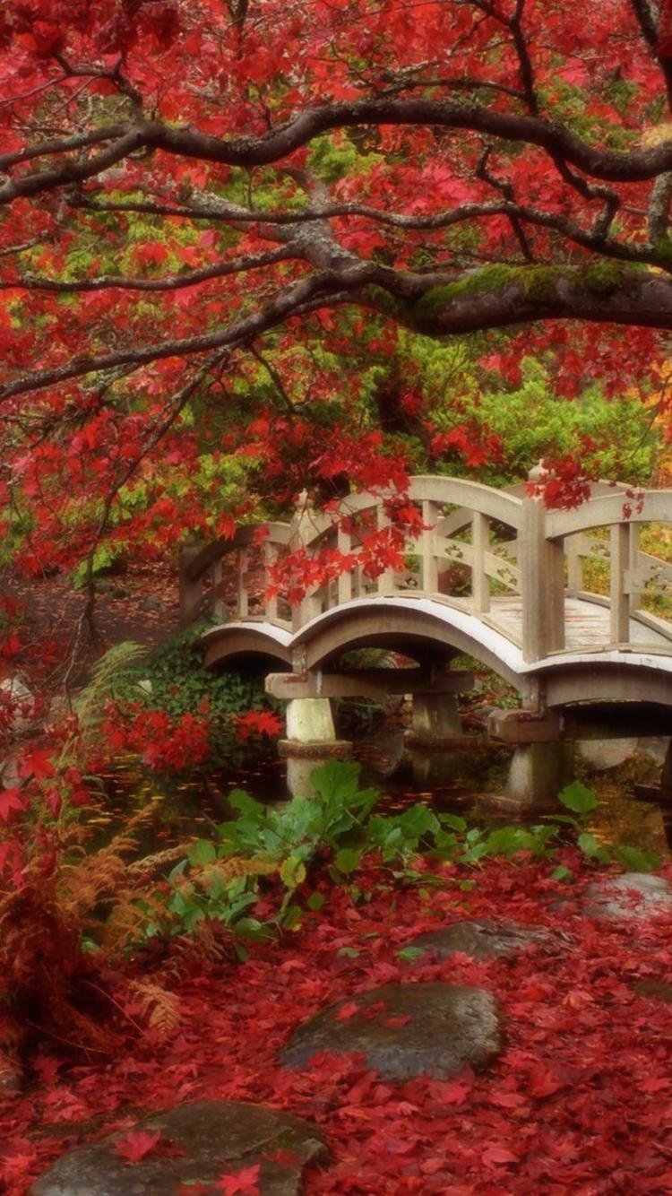 Japanese Bridge Wallpapers - Top Free Japanese Bridge Backgrounds ...