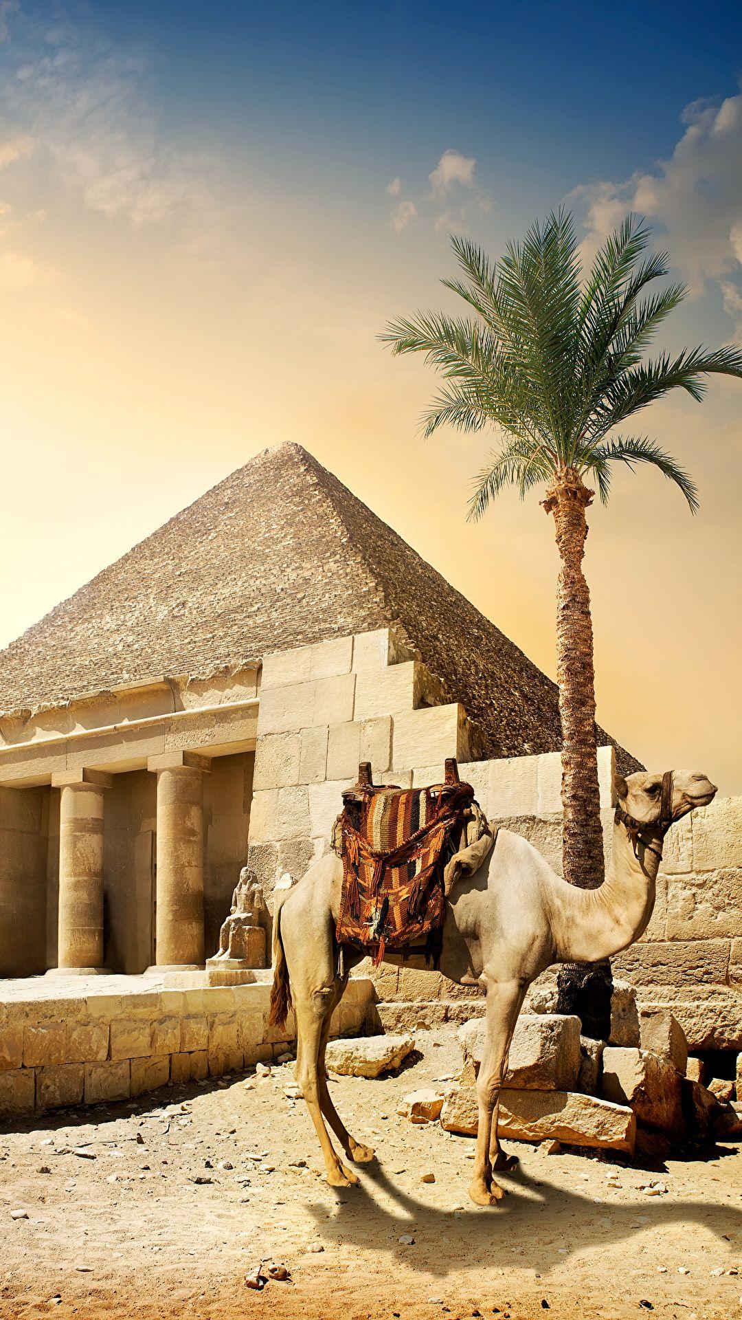 Egyptian Phone Wallpapers - Top Free Egyptian Phone Backgrounds ...