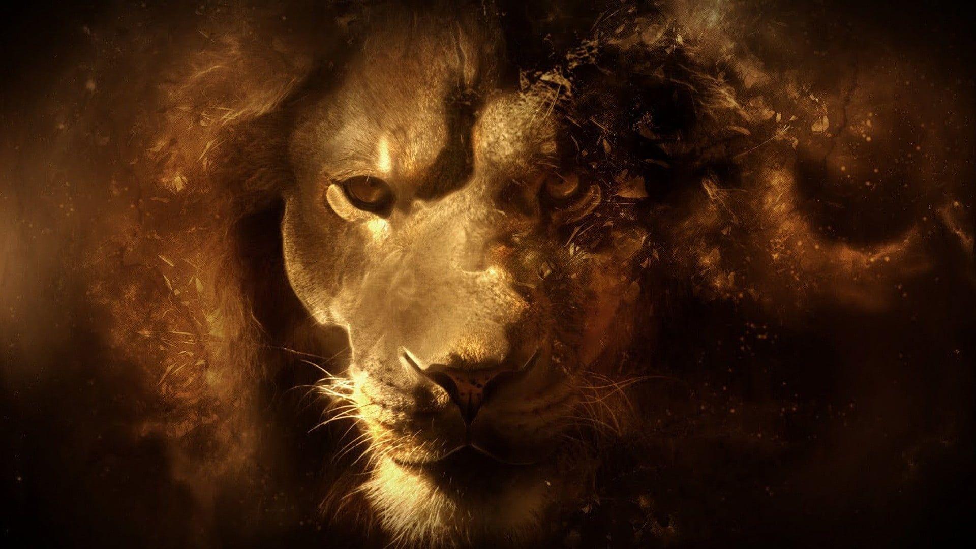 Space Lion Wallpapers - Top Free Space Lion Backgrounds - WallpaperAccess