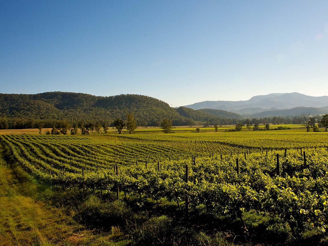 Australian Countryside Wallpapers - Top Free Australian Countryside ...