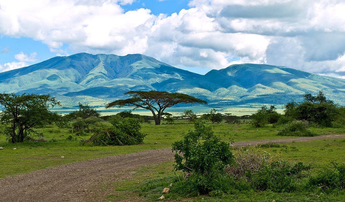 Serengeti Wallpapers - Top Free Serengeti Backgrounds - WallpaperAccess