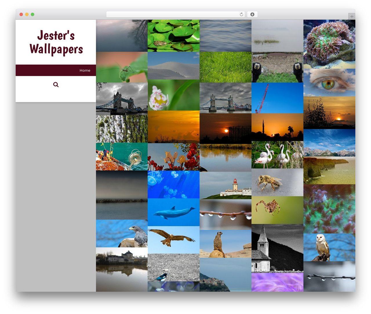 Kaira Wallpapers - Top Free Kaira Backgrounds - WallpaperAccess