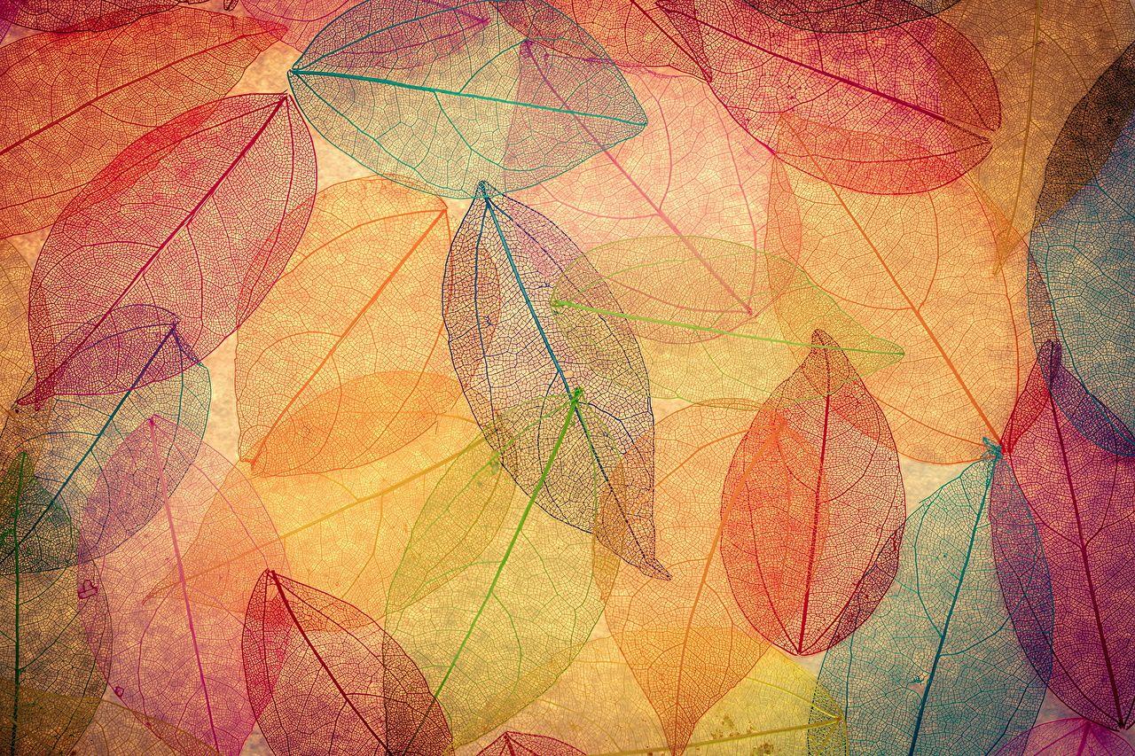 Abstract Fall Wallpapers - Top Free Abstract Fall Backgrounds ...