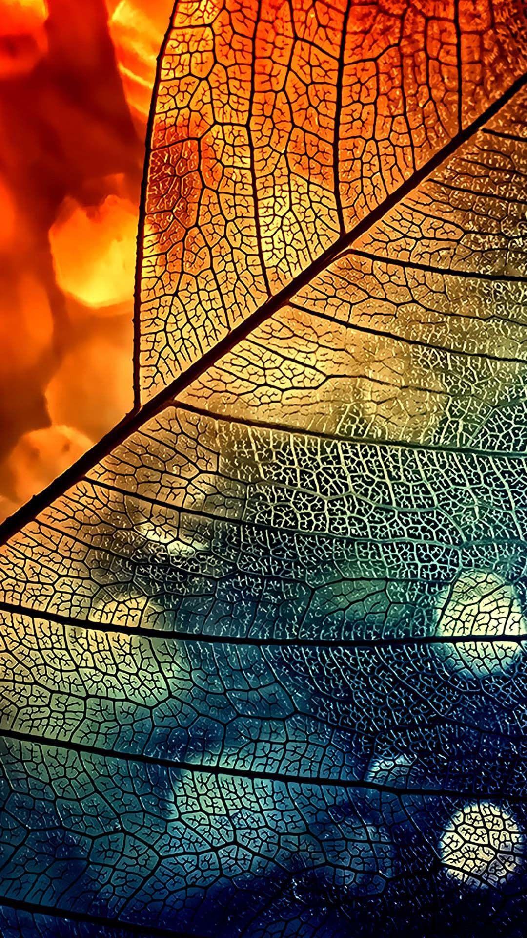 Abstract Leaves Wallpapers - Top Free Abstract Leaves Backgrounds ...