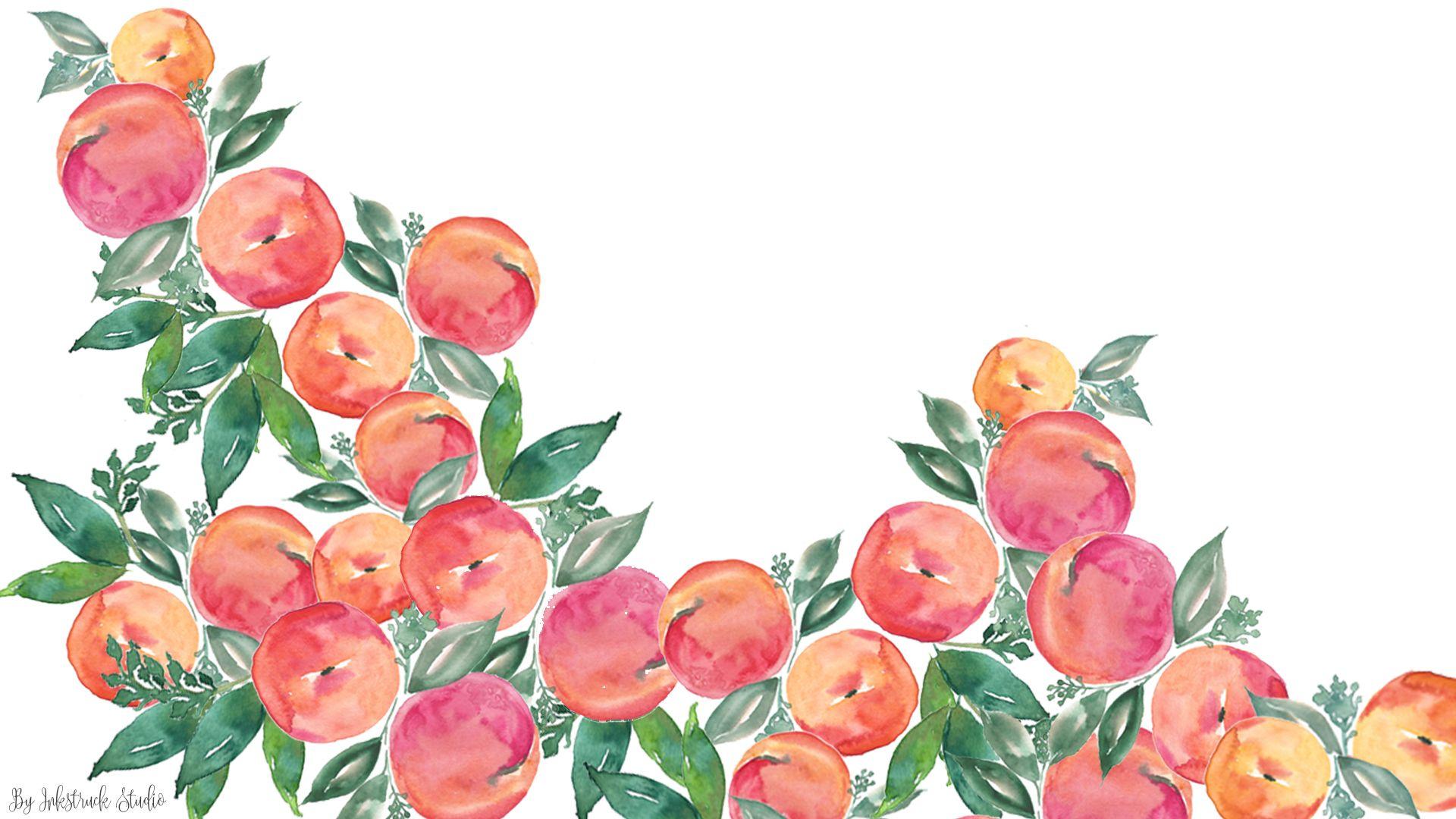 Peach Floral Wallpapers - Top Free Peach Floral Backgrounds ...
