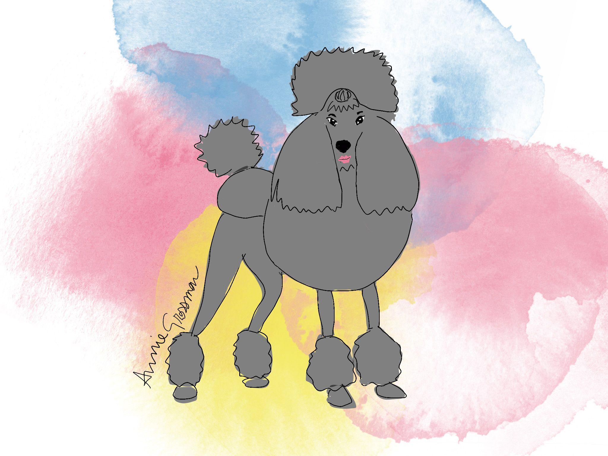 Dog Training Wallpapers - Top Free Dog Training Backgrounds ...