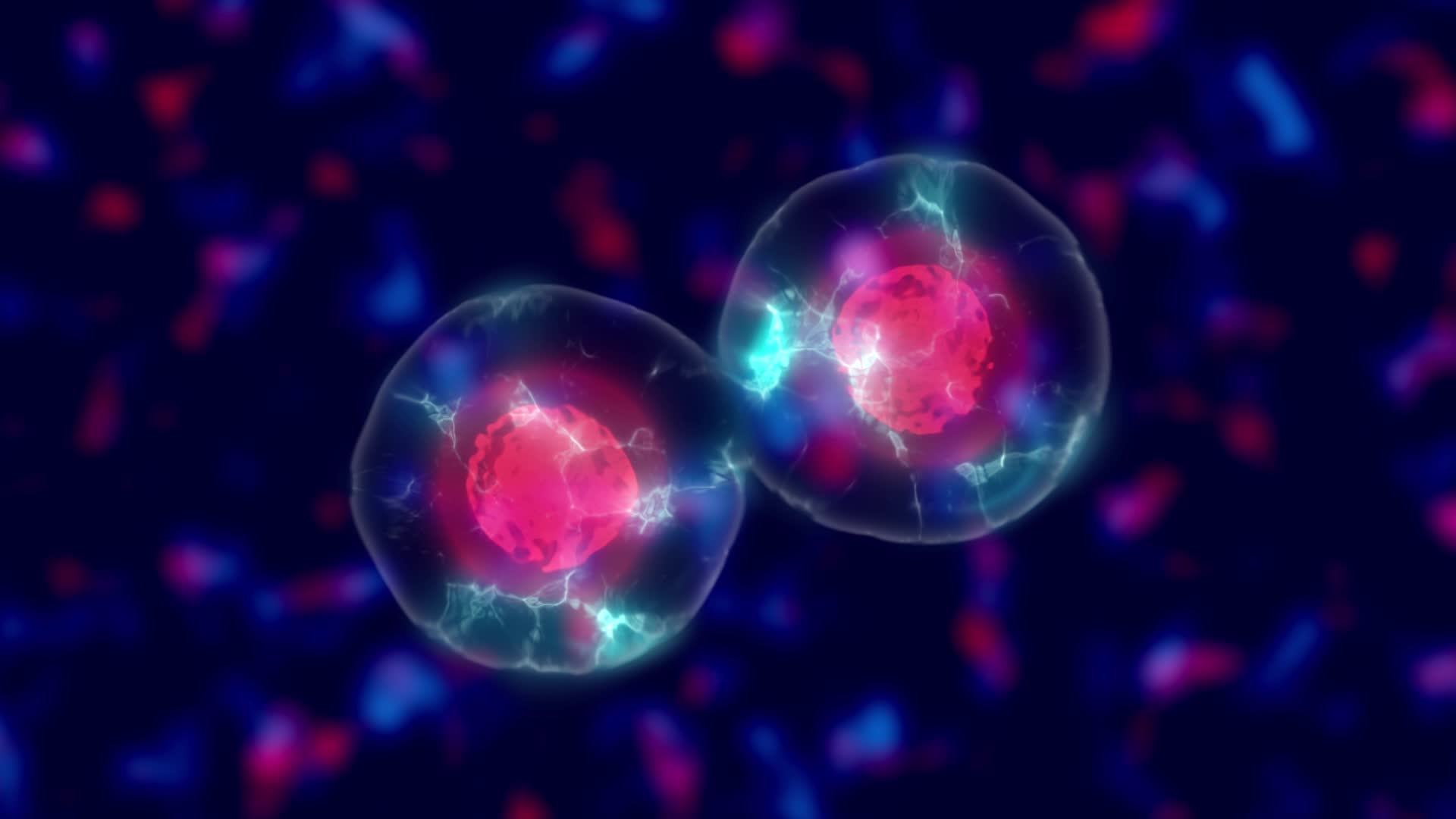 Cell Cycle Wallpapers - Top Free Cell Cycle Backgrounds - WallpaperAccess
