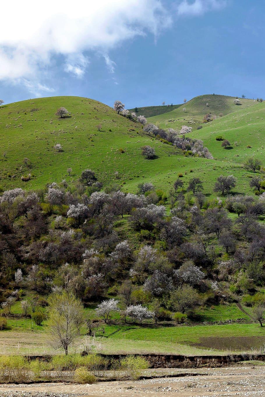 Xinjiang Wallpapers - Top Free Xinjiang Backgrounds - WallpaperAccess