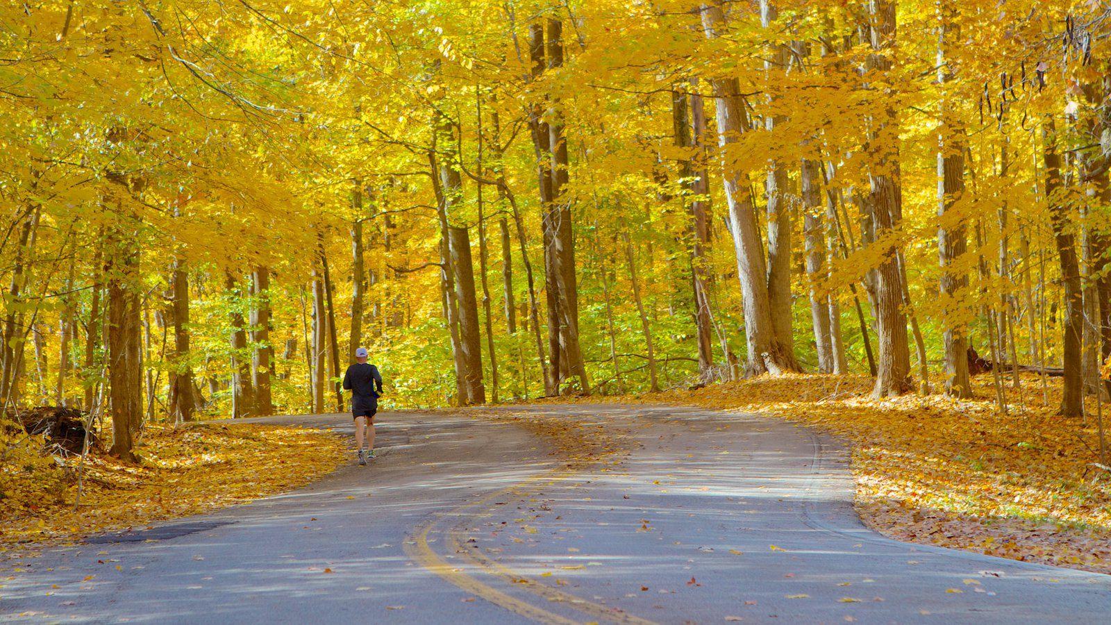 Indiana Countryside Wallpapers - Top Free Indiana Countryside ...