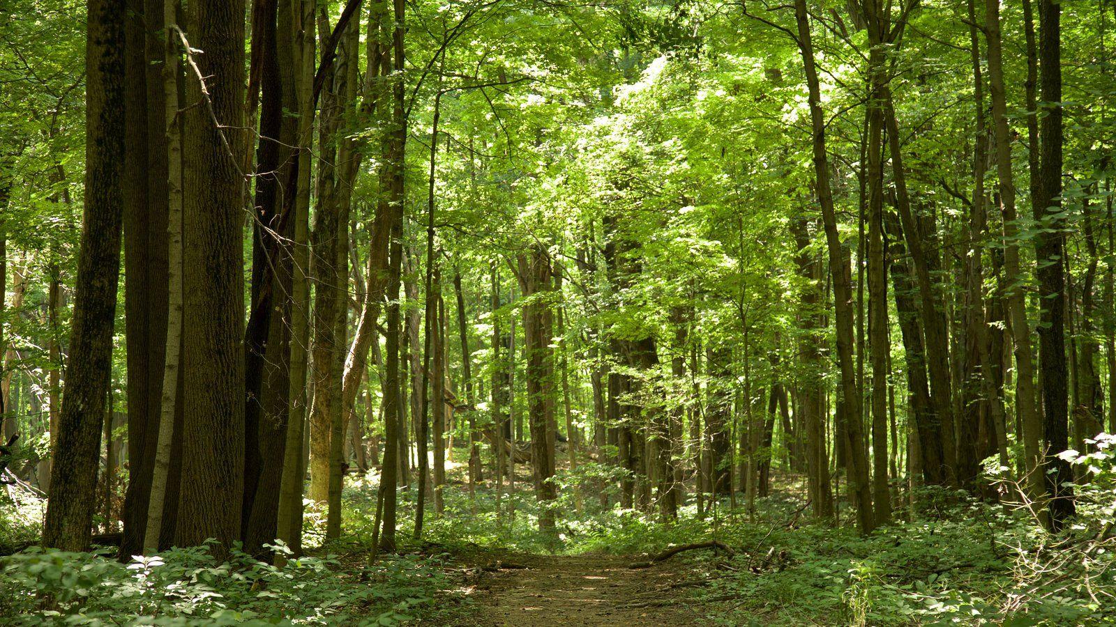 Indiana Countryside Wallpapers - Top Free Indiana Countryside ...