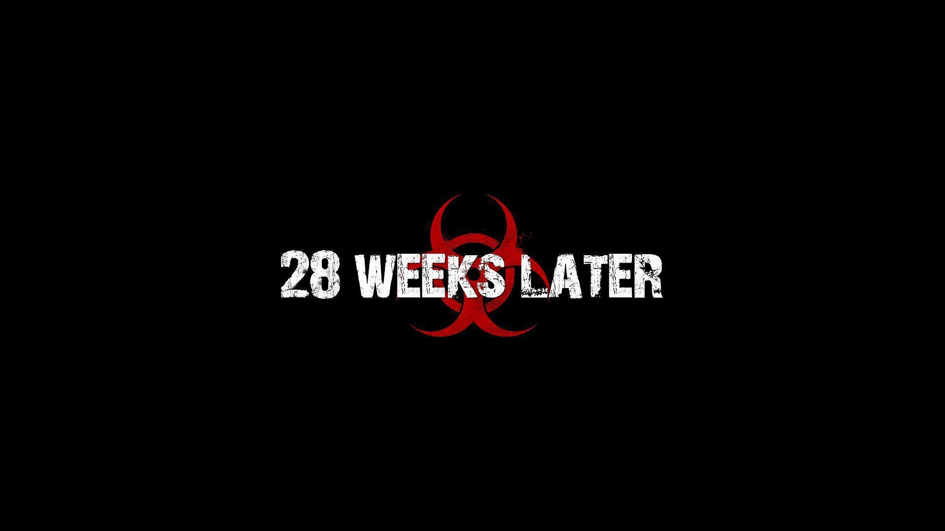 28 Days Later Wallpapers - Top Free 28 Days Later Backgrounds ...