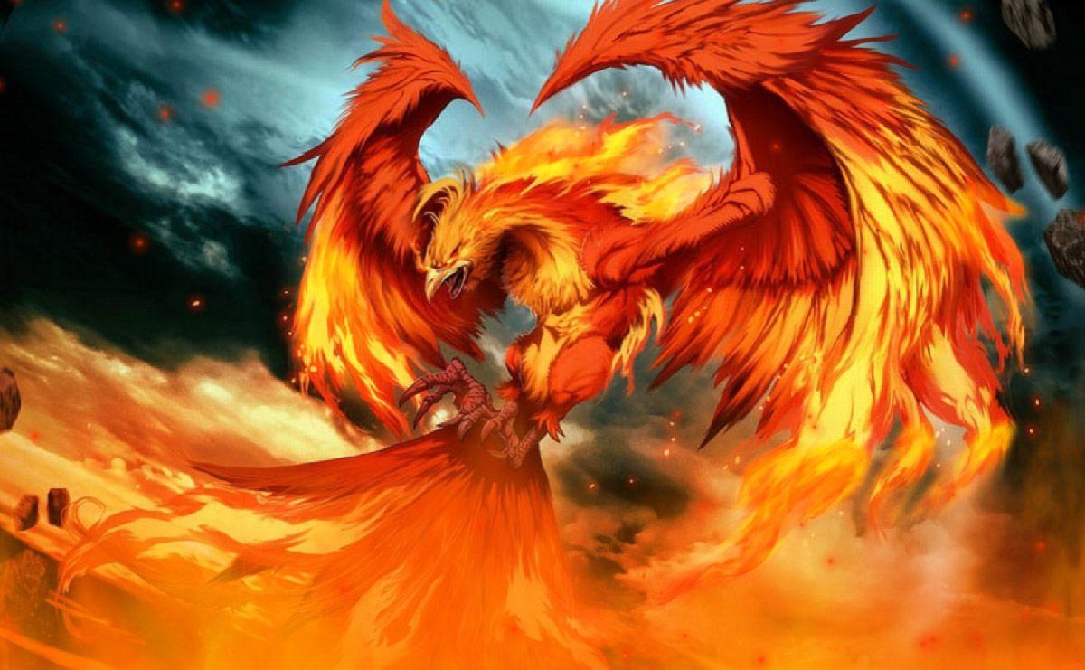 Golden Phoenix Wallpapers - Top Free Golden Phoenix Backgrounds ...