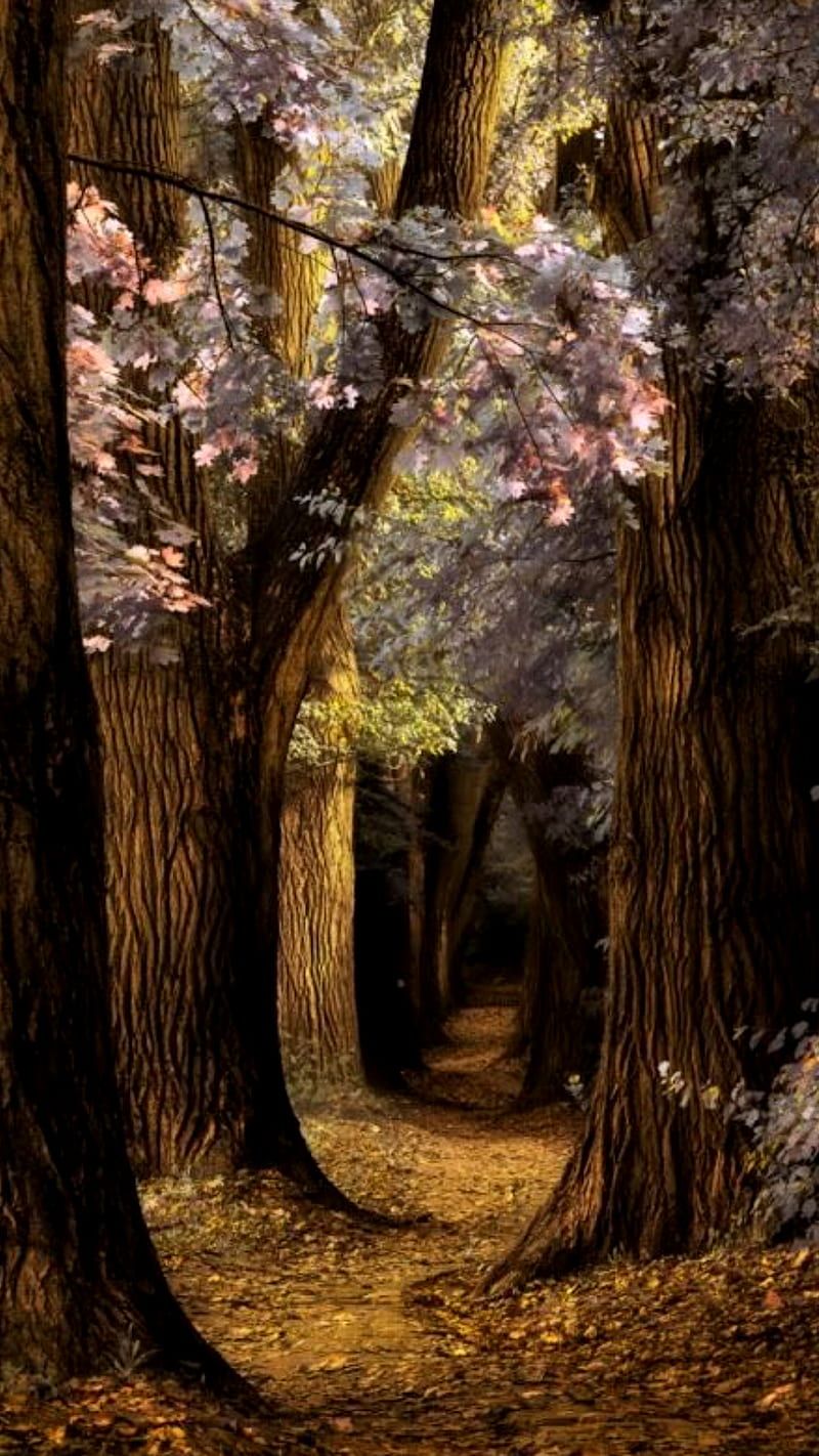 Autumn Fantasy Wallpapers - Top Free Autumn Fantasy Backgrounds ...