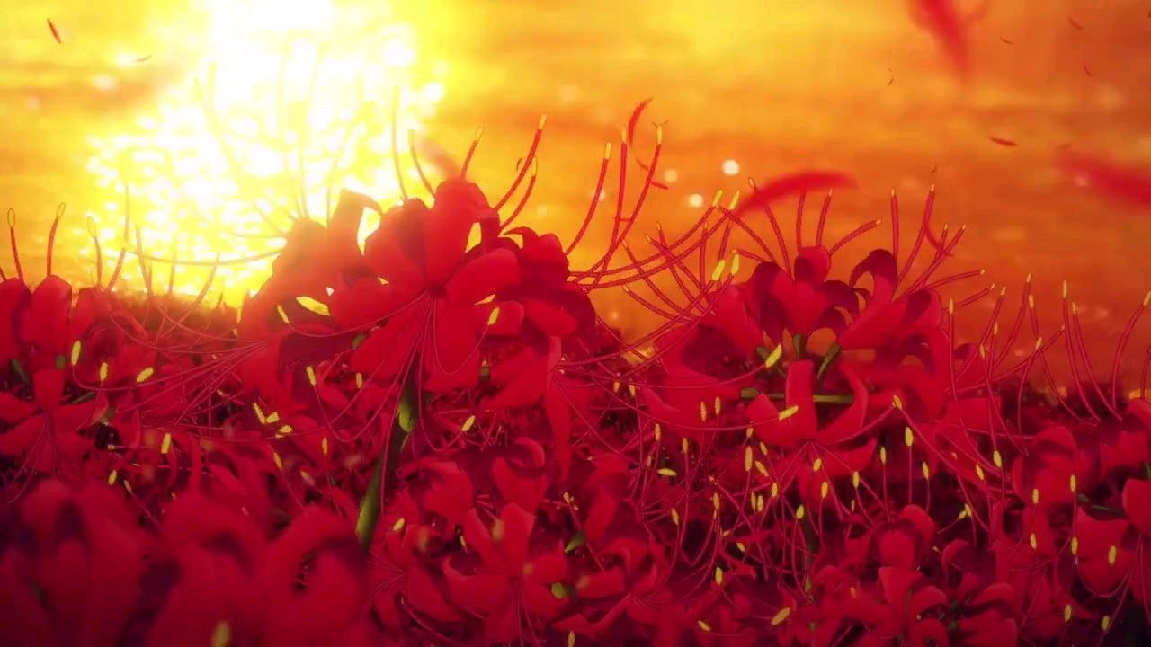 Spiderlily Wallpapers - Top Free Spiderlily Backgrounds - WallpaperAccess
