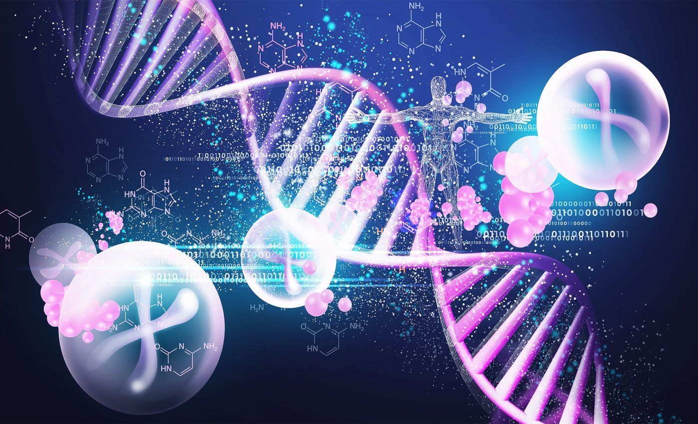 Human Development Wallpapers - Top Free Human Development Backgrounds ...