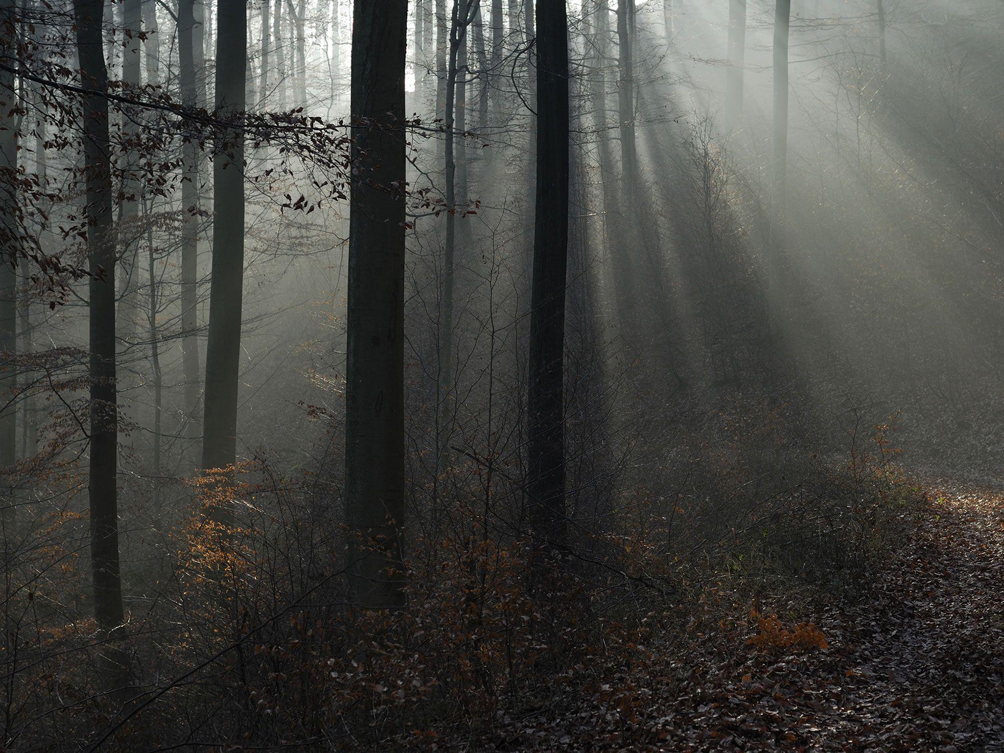 Dark Fairy Tale Wallpapers - Top Free Dark Fairy Tale Backgrounds ...