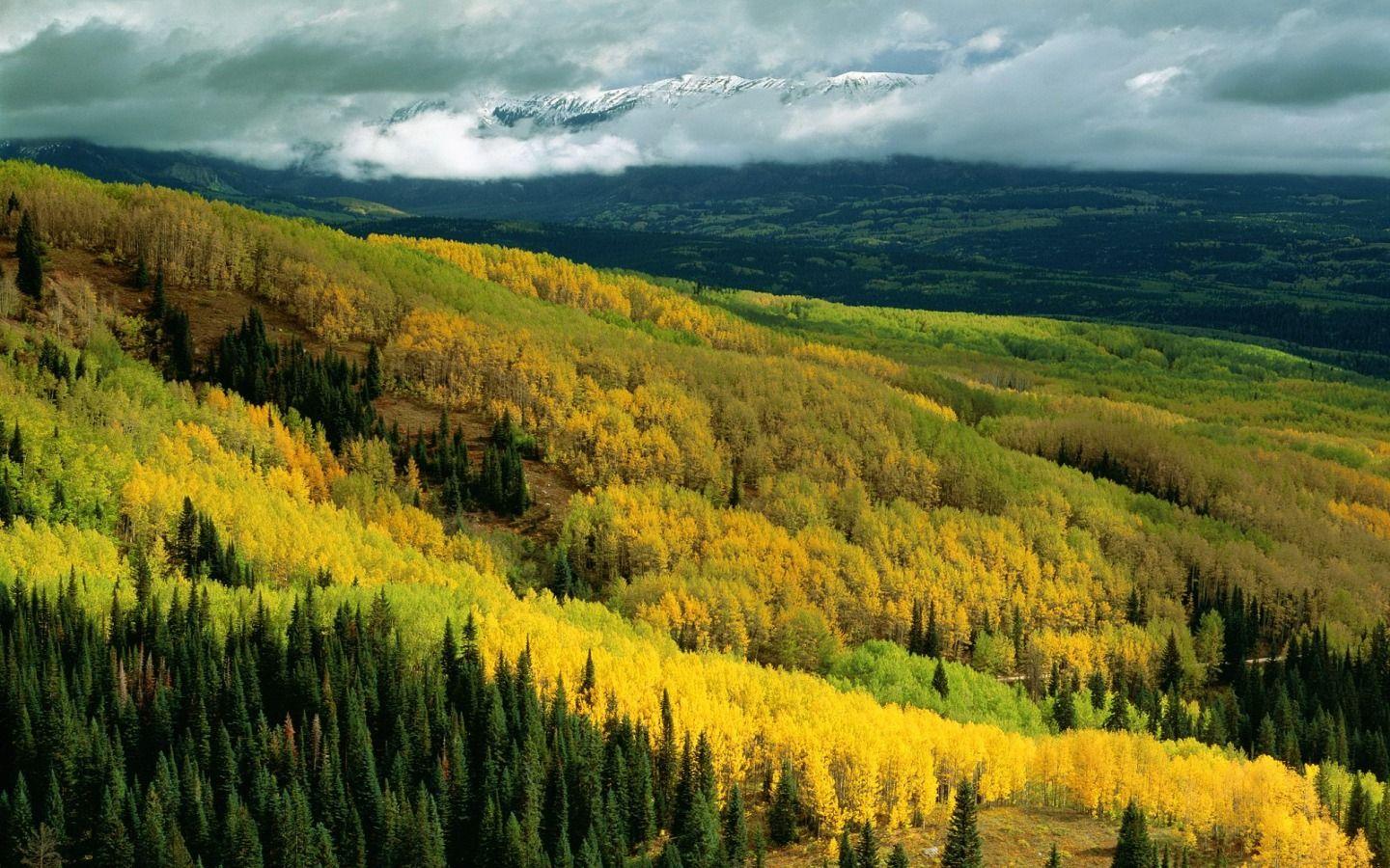 Aspen Wallpapers - Top Free Aspen Backgrounds - WallpaperAccess