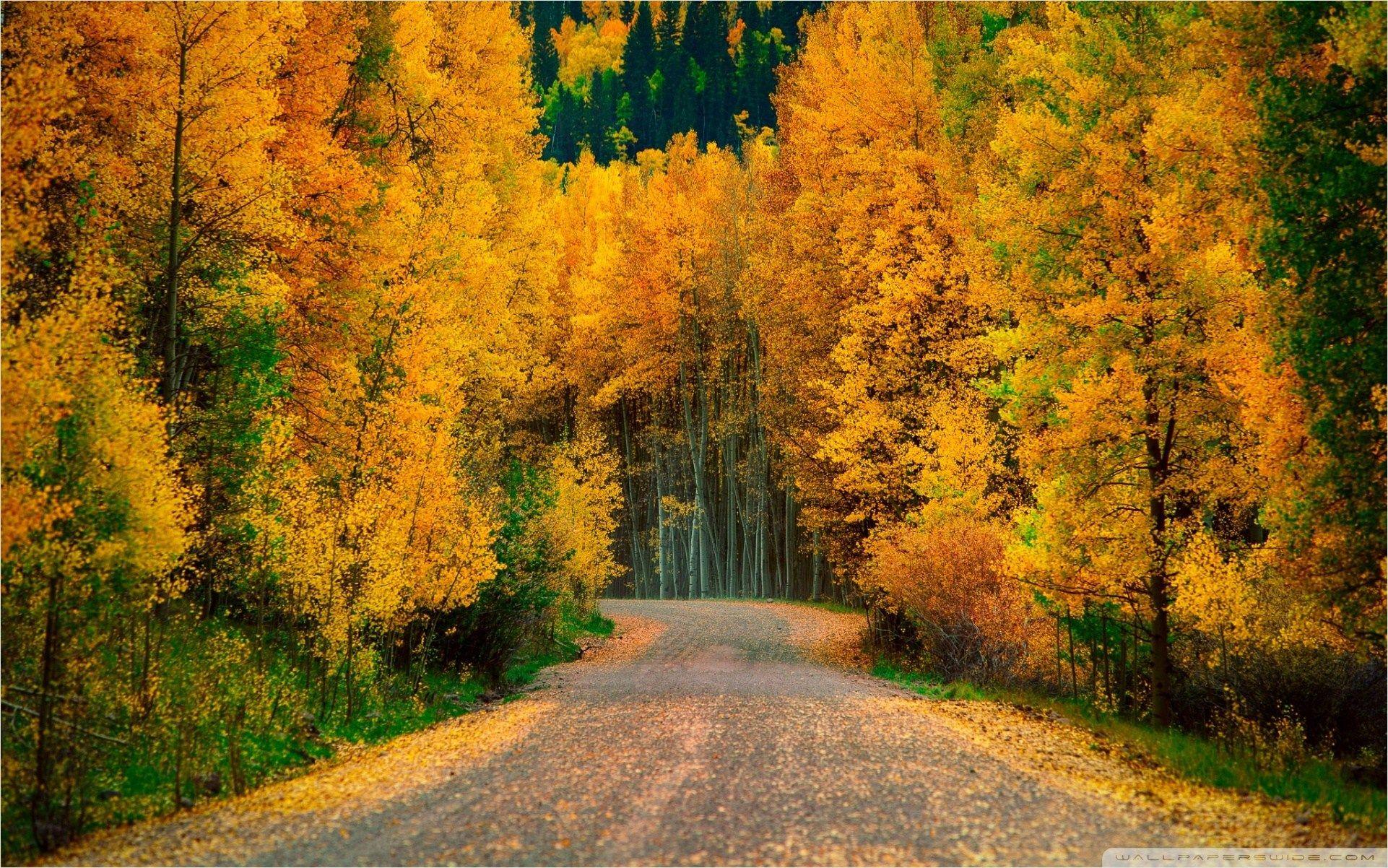 Aspen Wallpapers - Top Free Aspen Backgrounds - WallpaperAccess