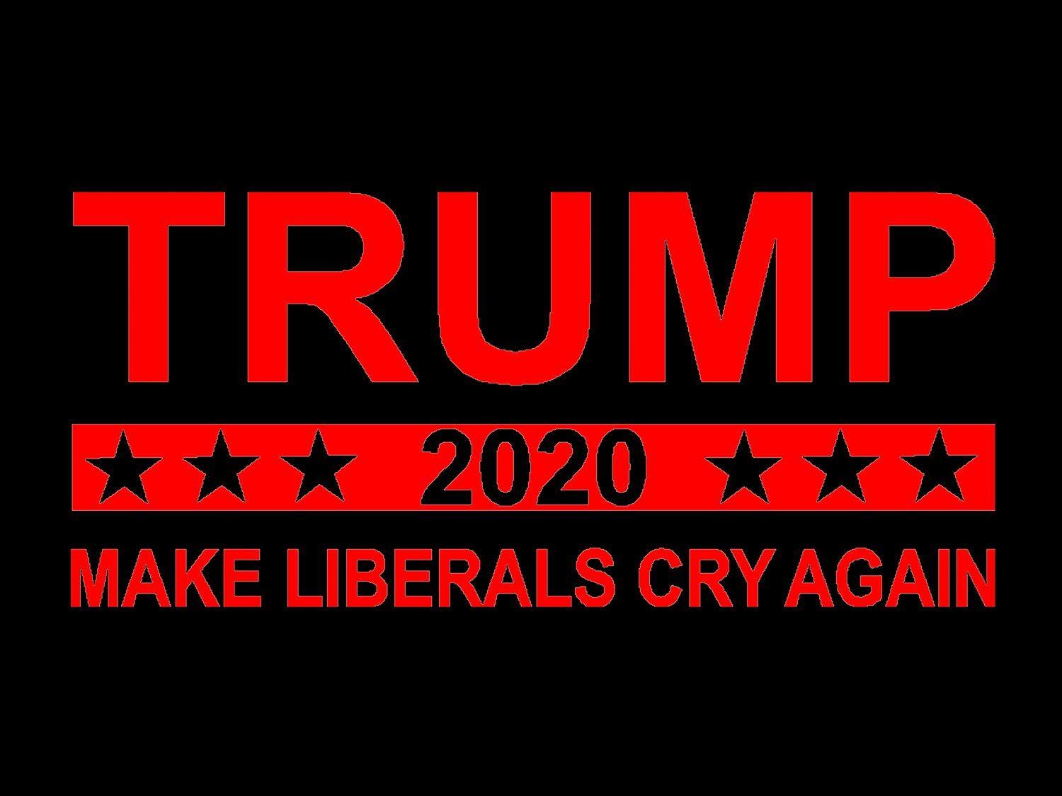 Trump 2020 Wallpapers - Top Free Trump 2020 Backgrounds - WallpaperAccess