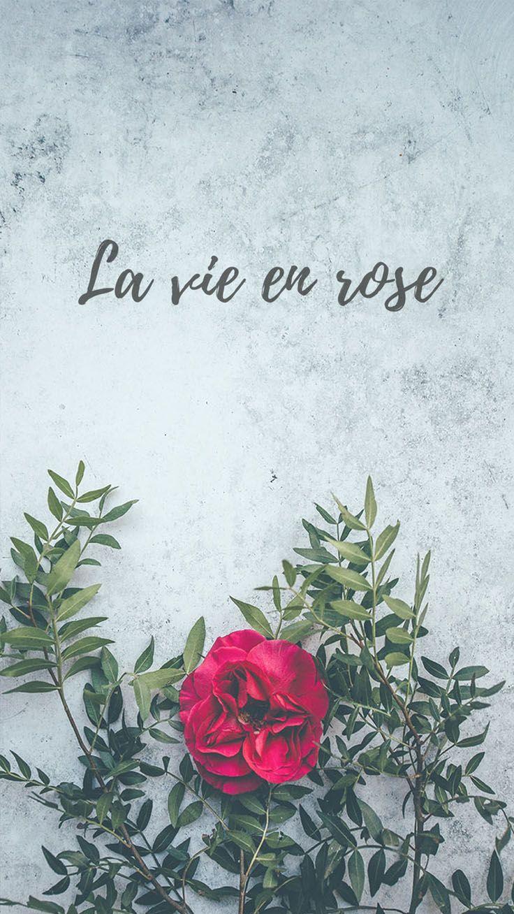 La Vie En Rose Wallpapers - Top Free La Vie En Rose Backgrounds ...